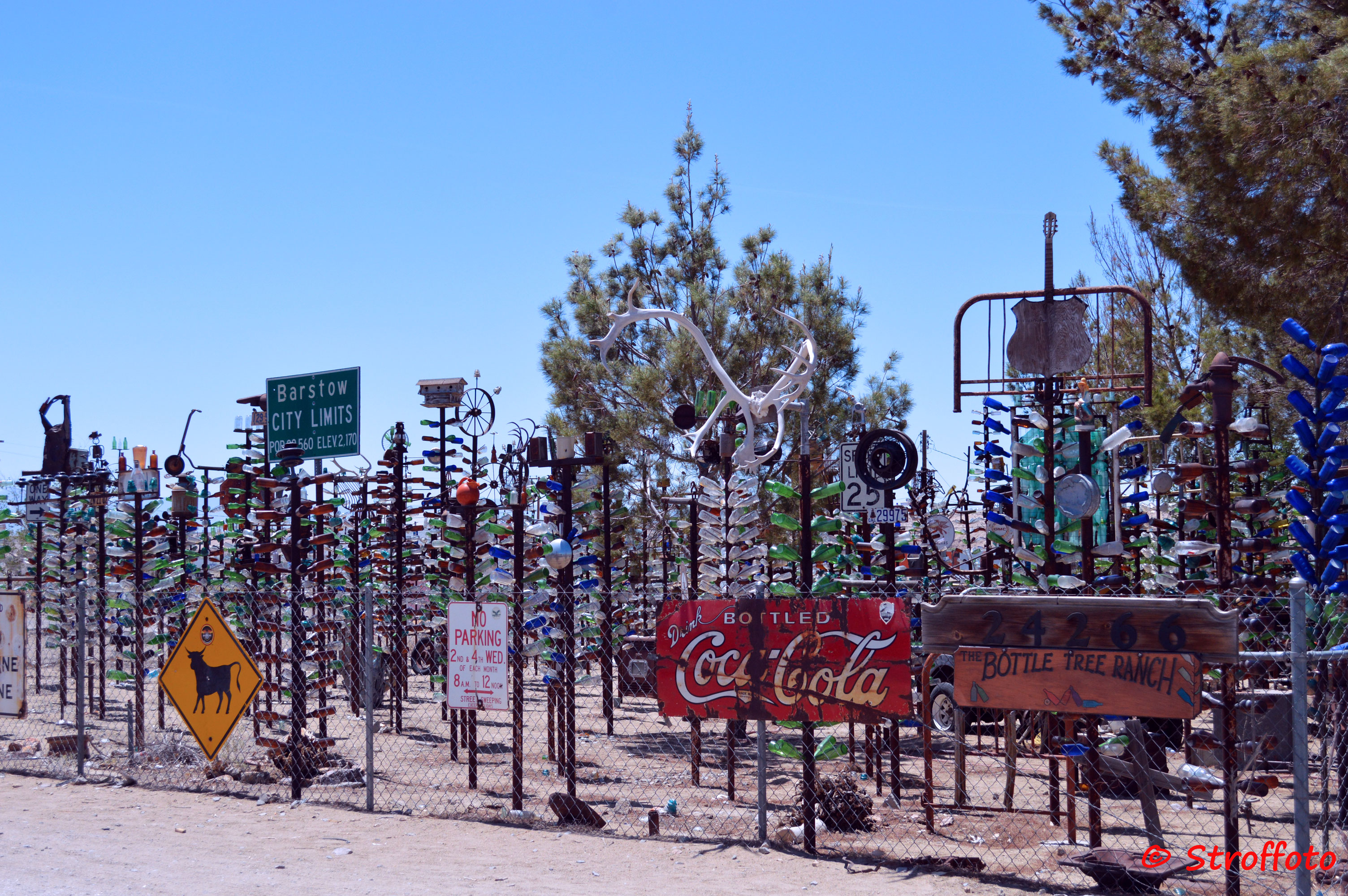 Photo of the Week - Elmer's Bottle Tree Ranch