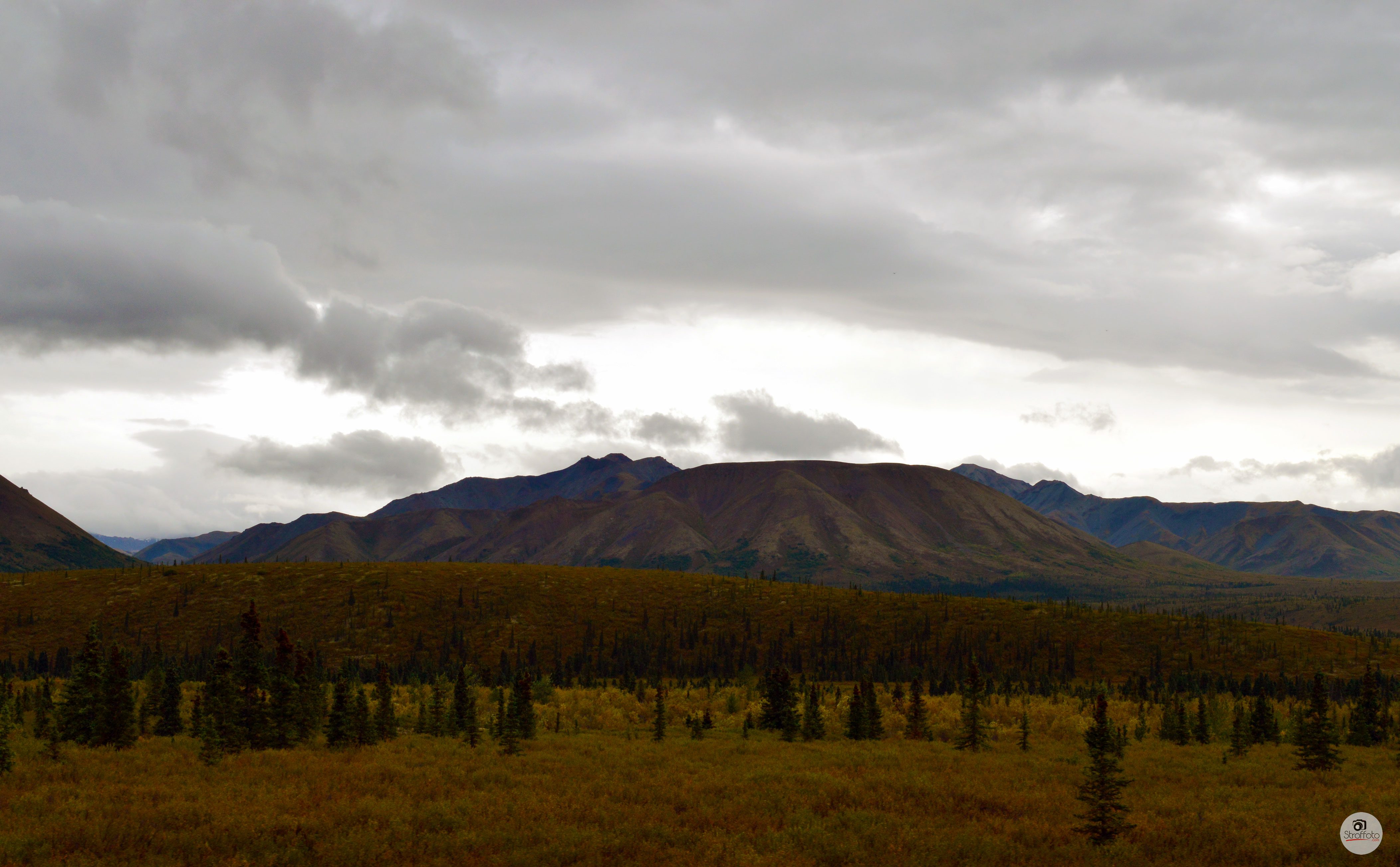 Photo of the Week - Denali National Park