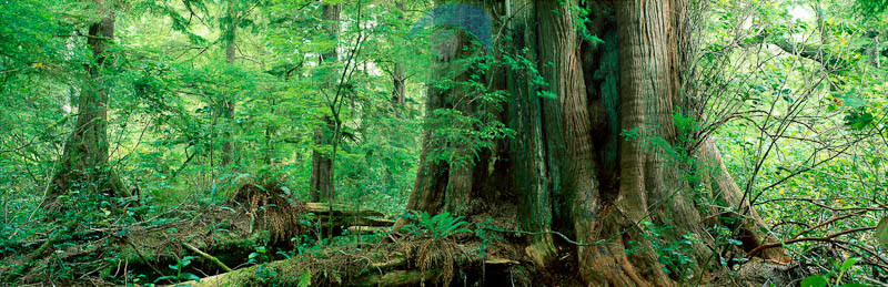 Three Big Ideas - Jeff and Debbie Roper