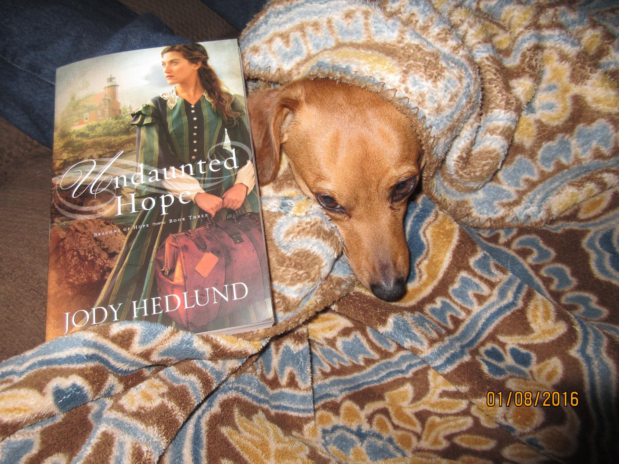 Undaunted Hope | Jody Hedlund