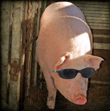 Writing Business | Pilgrimage