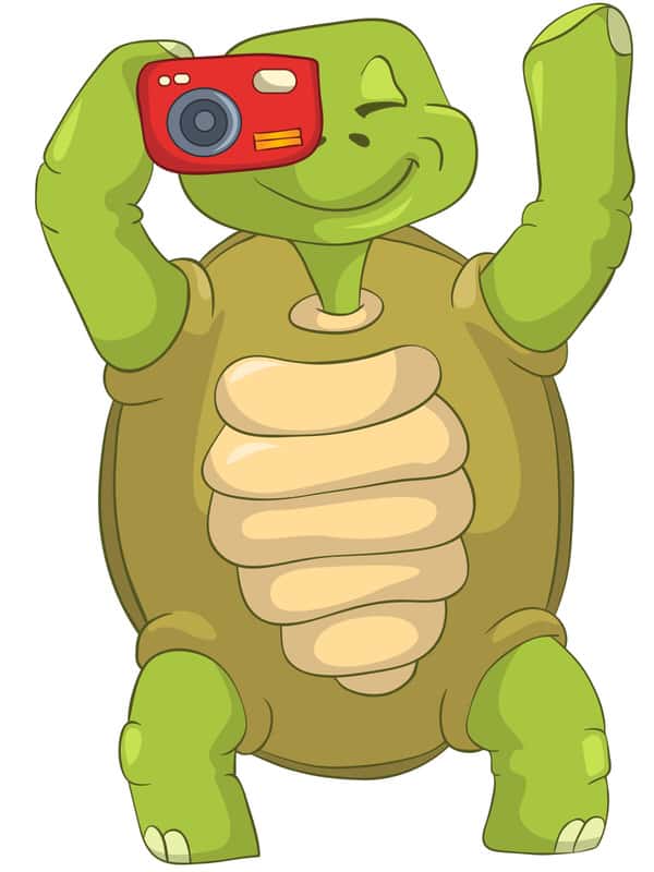 Techie Turtle's iPhone camera tips | Tips for non-techies | Jubilant Age