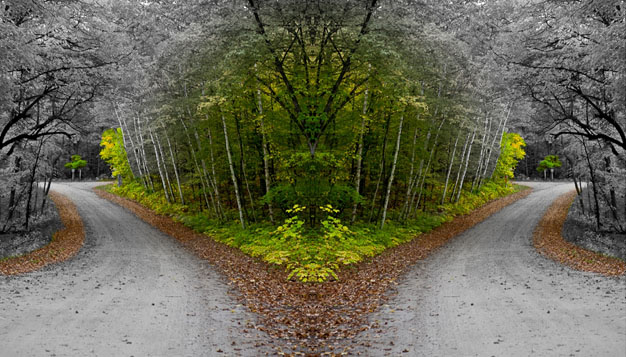 Where do you want to go? | simplifyinglifeweb