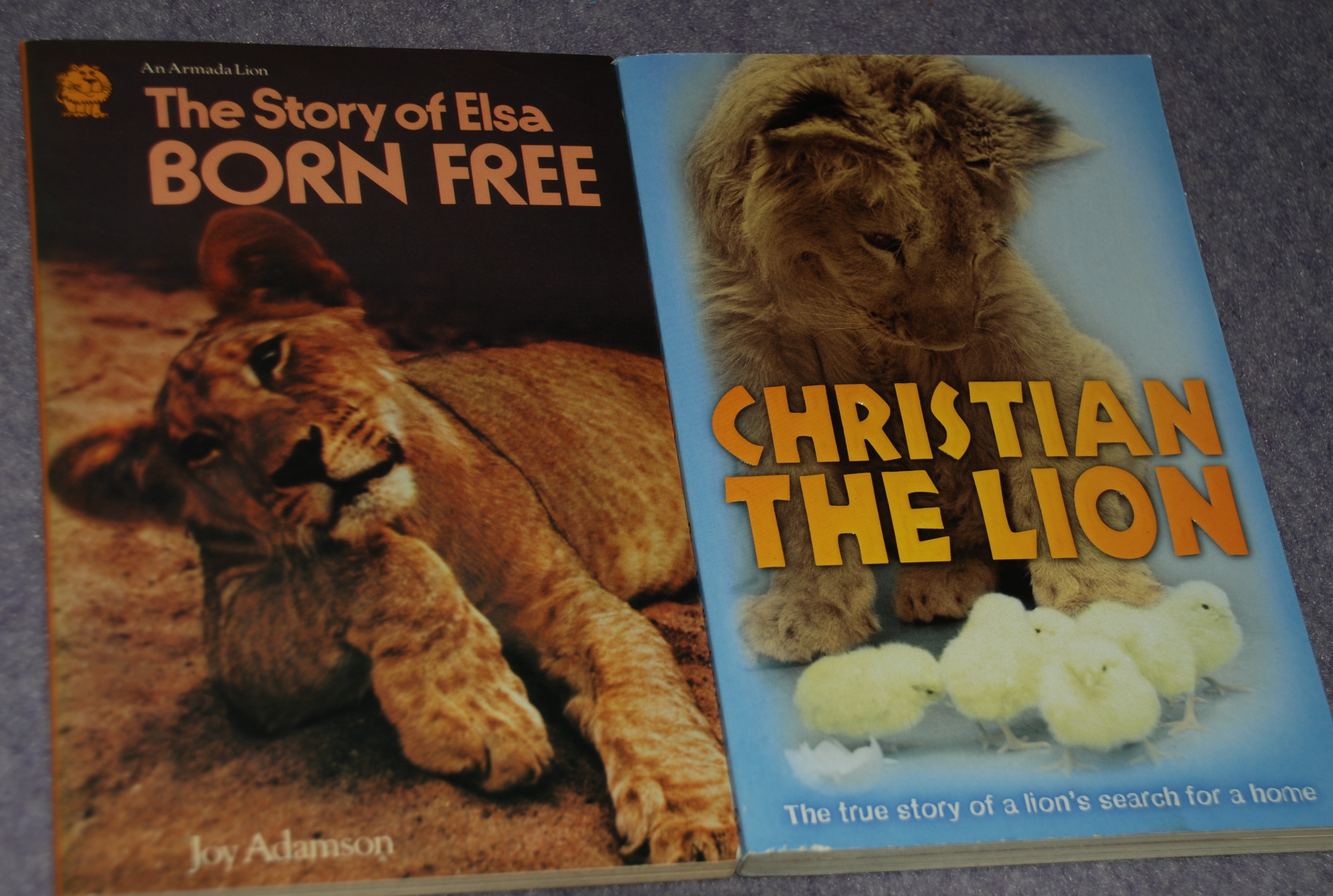 The Born Free Story | Kate on Conservation