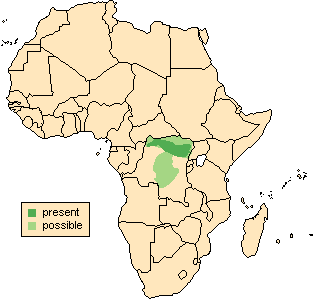 Okapi-range-map | Kate on Conservation