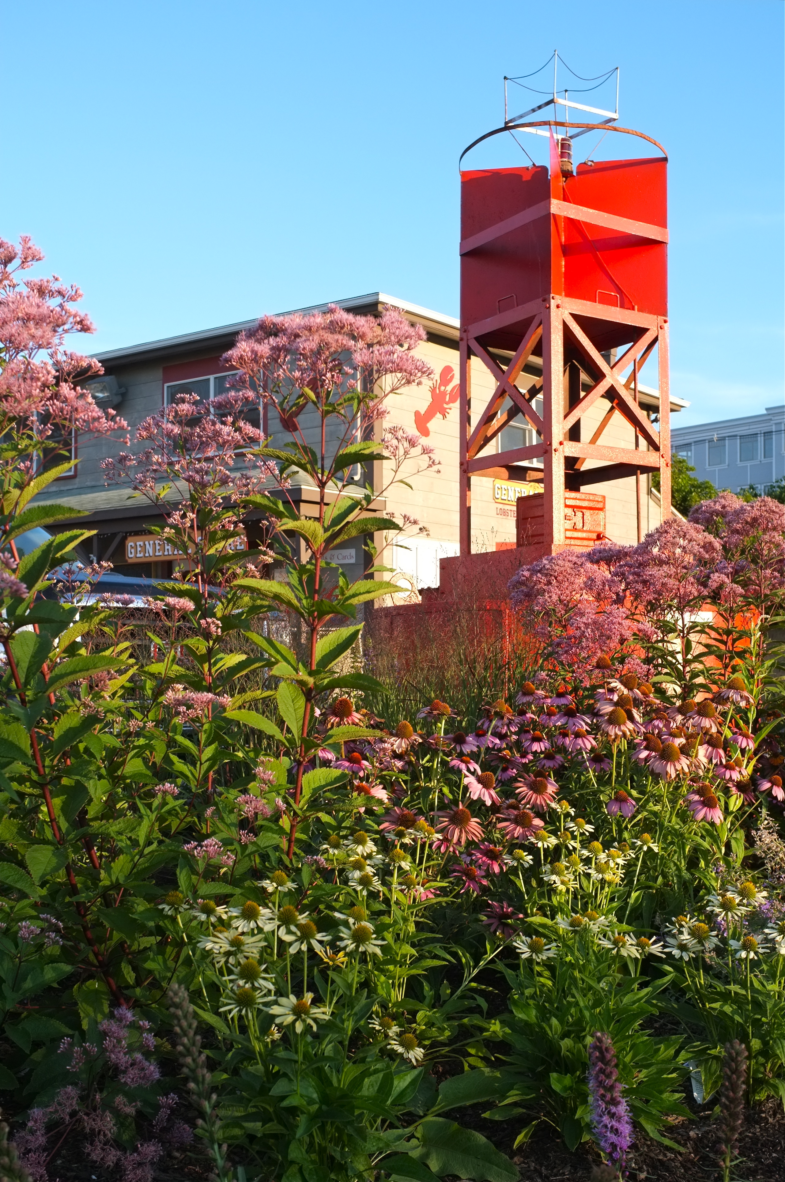 Gardens at Gloucester Harbor Walk | Kim Smith Films