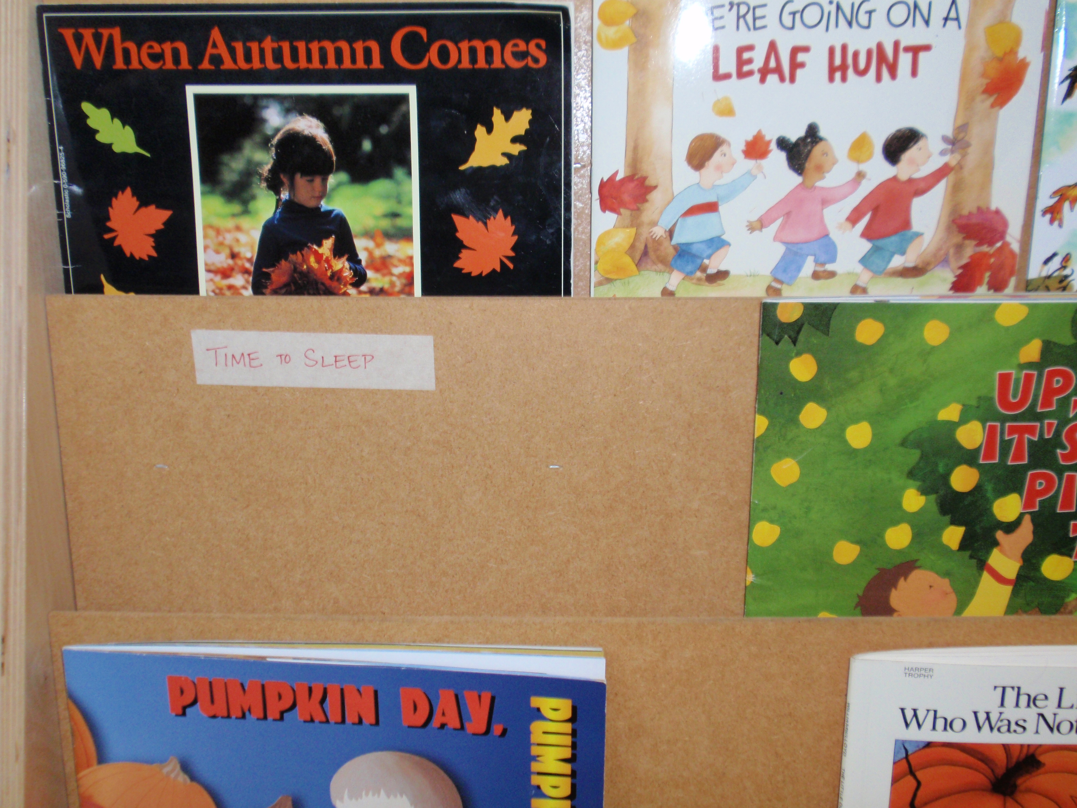 organizing books in a preschool classroom | Elbows, knees, dreams