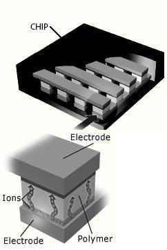 Polymer Memory - New way of using Plastic as Secondary Memory