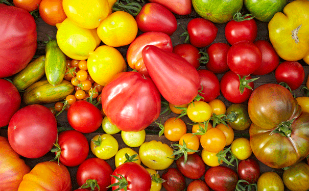 Herencia gastronómica: Oaxaca y sus jitomates criollos