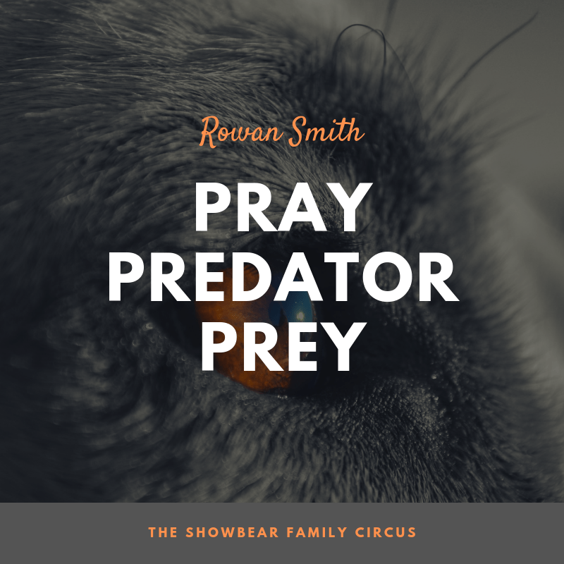 predator prey