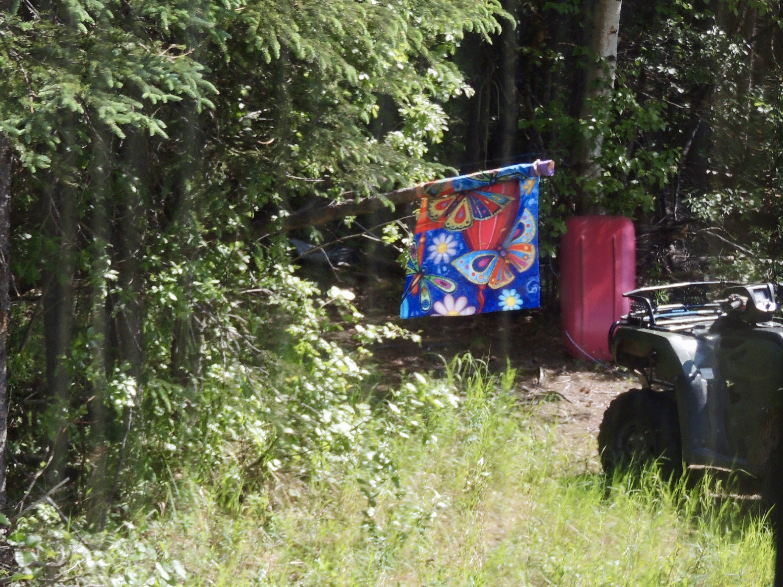 Riding Alaska's Hurricane Turn, the Last Flagstop Train (VIDEO ...