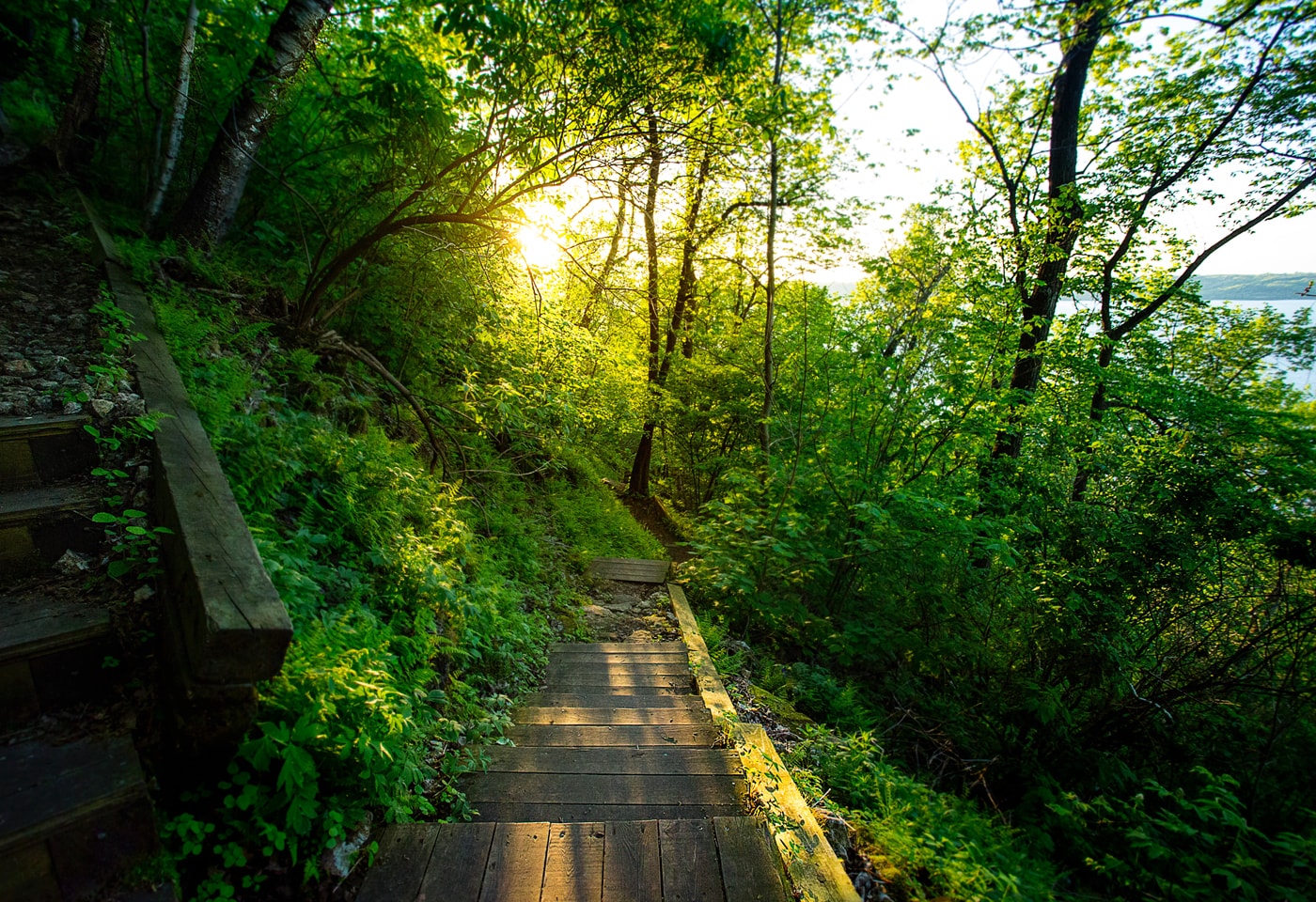 The Path - Landscape Printing