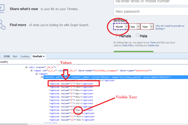 How To Select Values From Dropdown In Selenium Webdriver