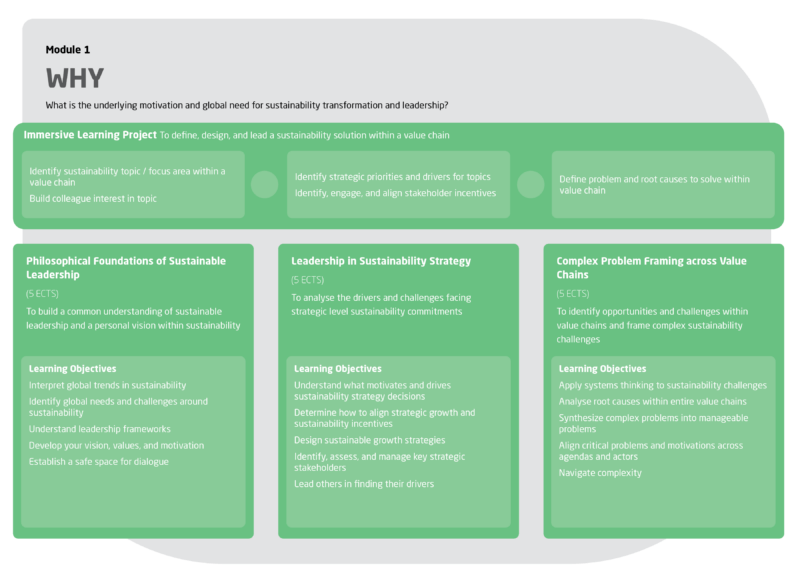 Master in Sustainable Leadership - DTU – Learn for life