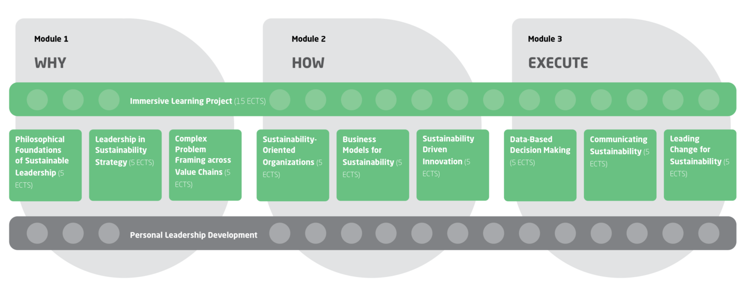 Master in Sustainable Leadership - DTU – Learn for life
