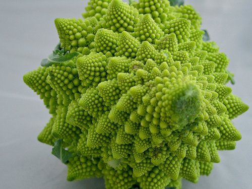 ROMANESCO BROCCOLI | little aesthete's blog