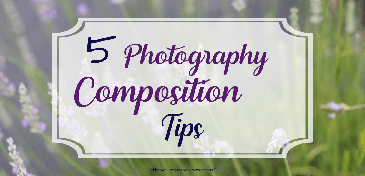 5 Photography Composition Tips - Live Snap Create