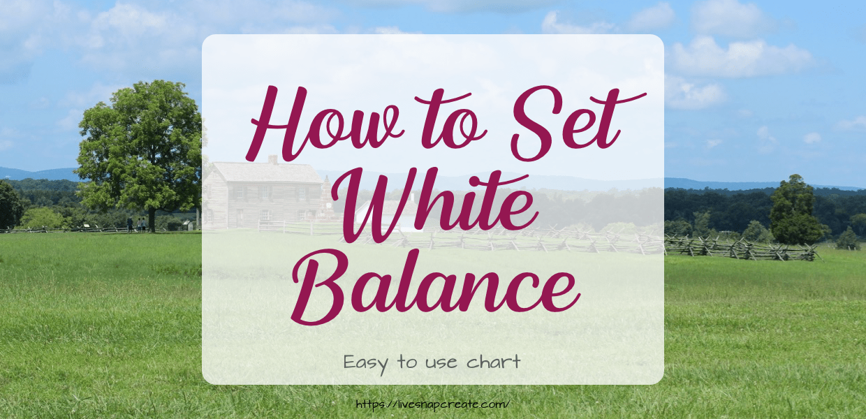 How to Set White Balance - Live Snap Create