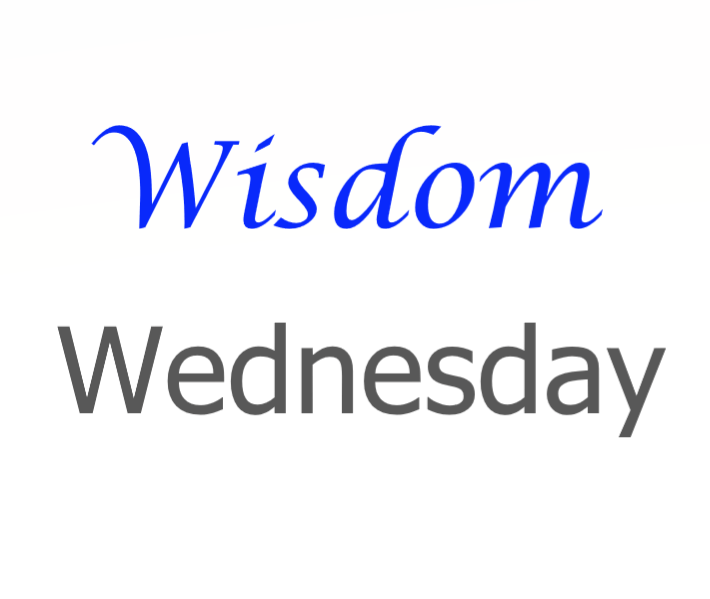 Wisdom Wednesday: Living a Godly Life - LostFlock.com