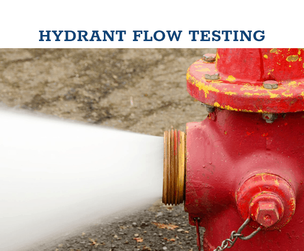 Water Audit – Lowflo