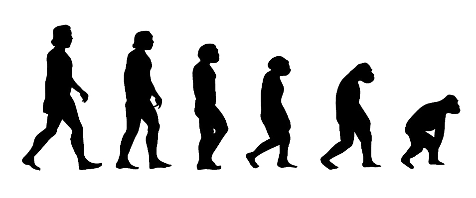 മിസ്റ്റര്‍ ഡാര്‍വിന്‍, മിസ്റ്റര്‍ ന്യൂട്ടണ്‍- നിങ്ങള്‍ക്കും മീതെ ആണ് ...