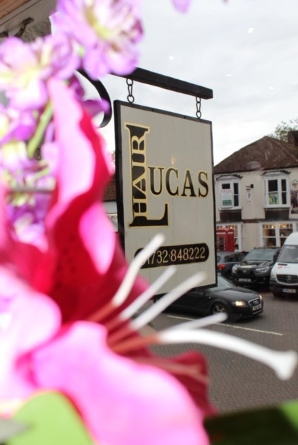 Gallery – Lucas Hair