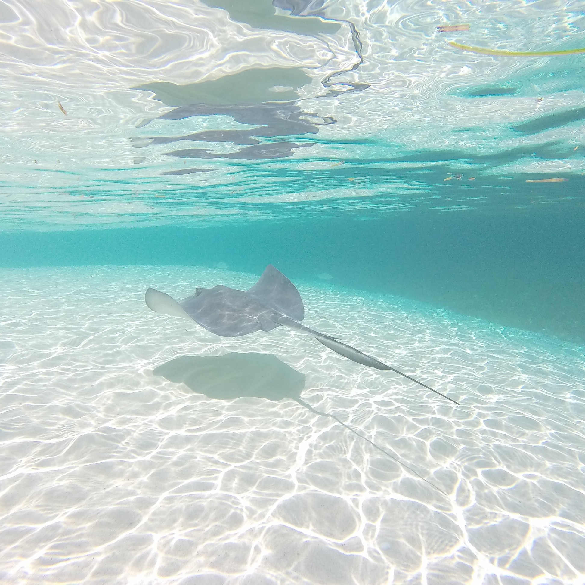 Experience Bimini Bliss at Resorts World Bimini - Mags On The Move