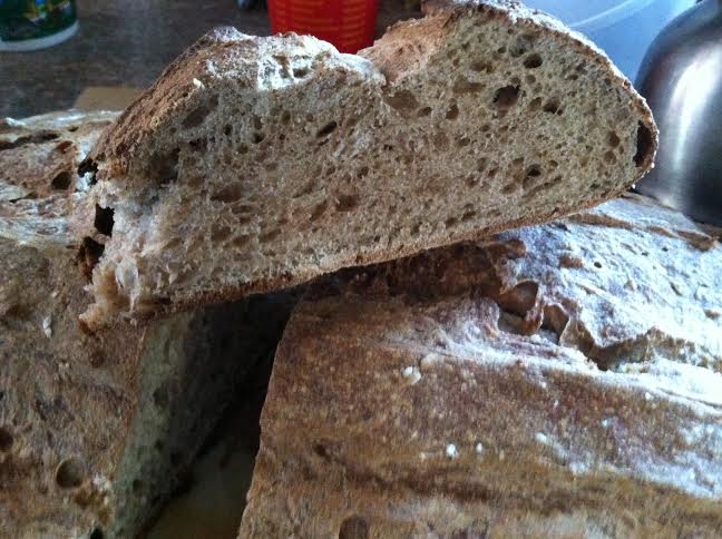 Spelt Cricket Bread - Bake This Day Our Daily Bread