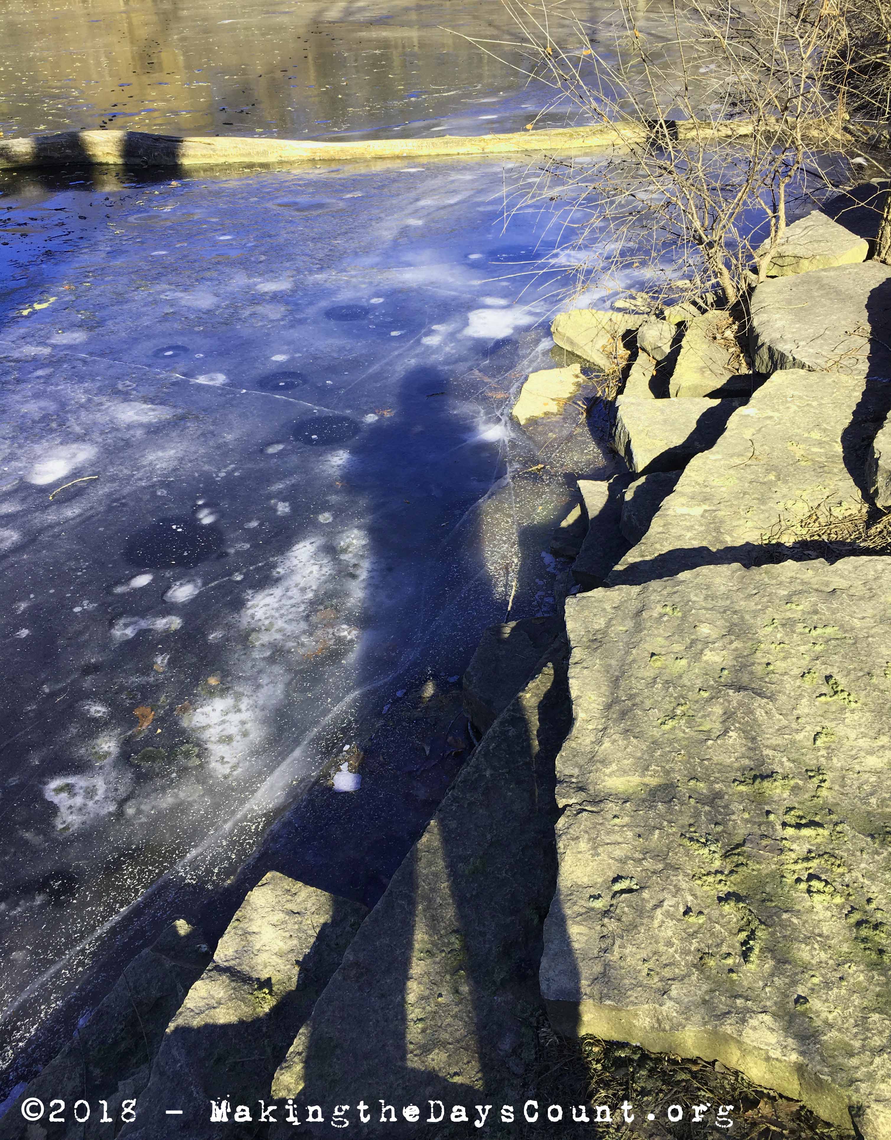 weathered – a photo challenge | Making the Days Count