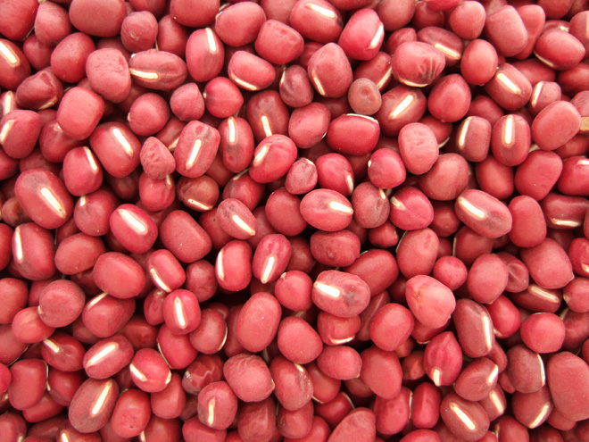 Kamut Sprouts | Markito Nutrition