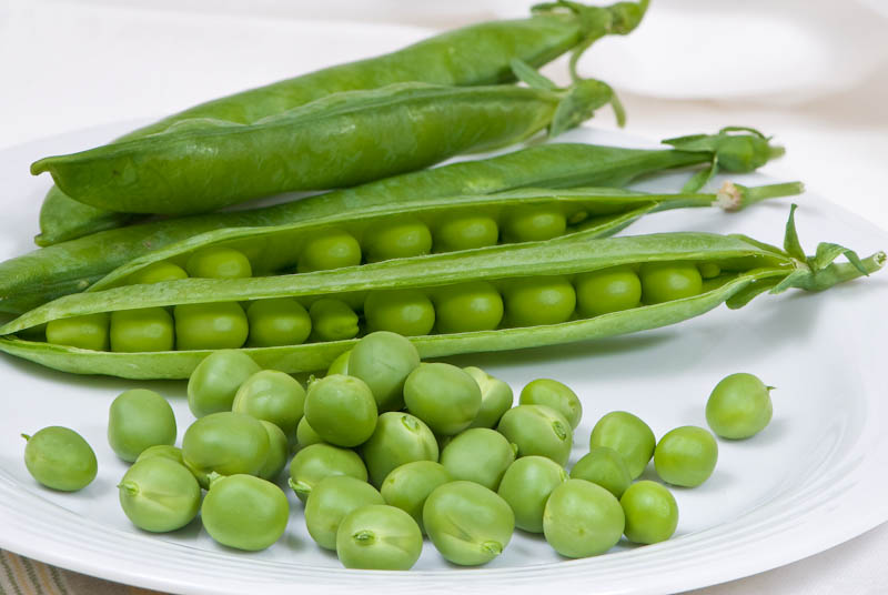 Make Room for Cool-Season Peas by Patty Leander