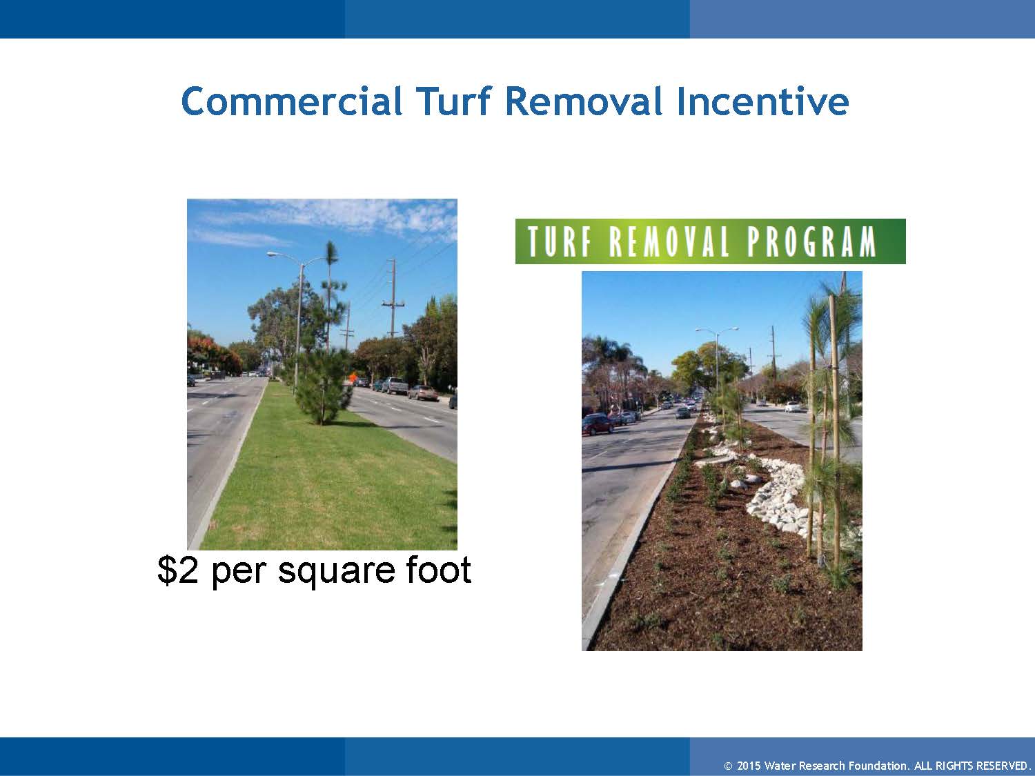 A look at three successful turf replacement programs | MAVEN'S NOTEBOOK ...