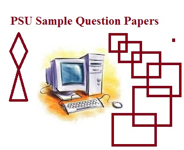 PSU Sample Paper 2