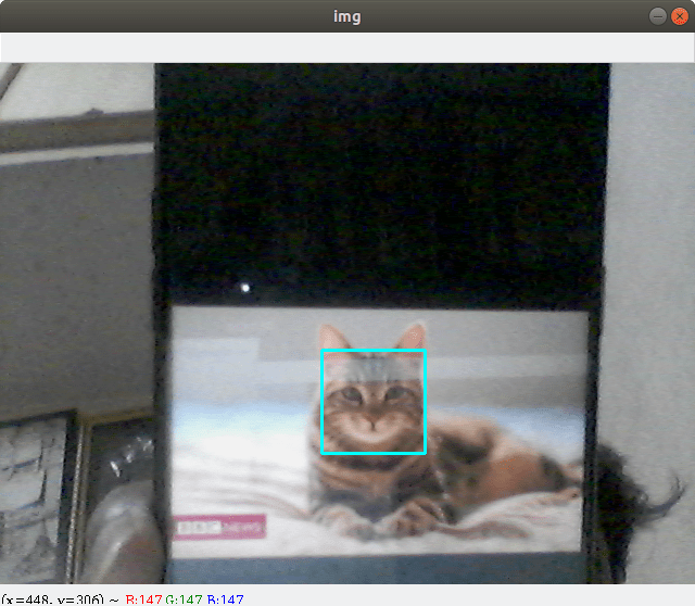 使用 Python Opencv 实时检测猫脸 码农参考