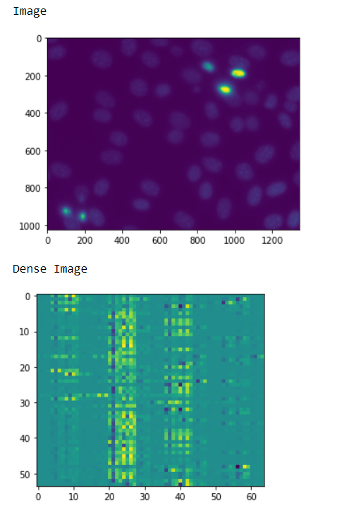 Mahotas – 获得 SURF 密集点 | 码农参考