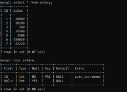  Python MySQL 
