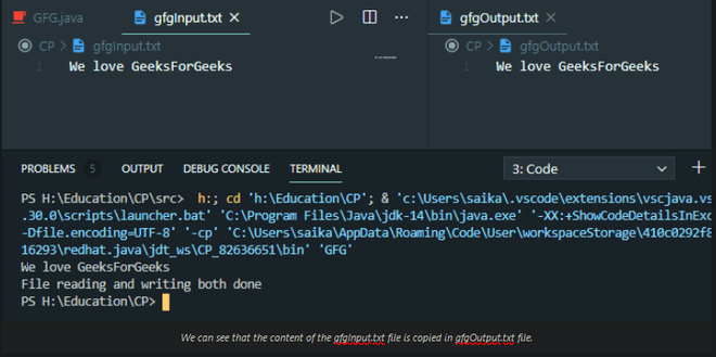 Java 程序从一个文件中读取内容并将其写入另一个文件 | 码农参考