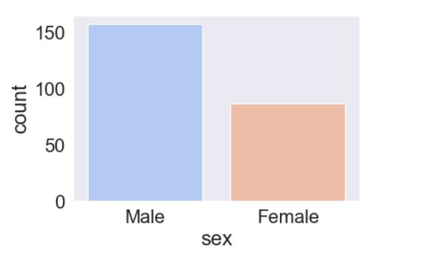 海运 |款式和颜色 | 码农参考