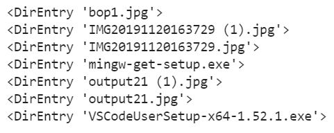 Python – 循环通过某些扩展名的文件 | 码农参考