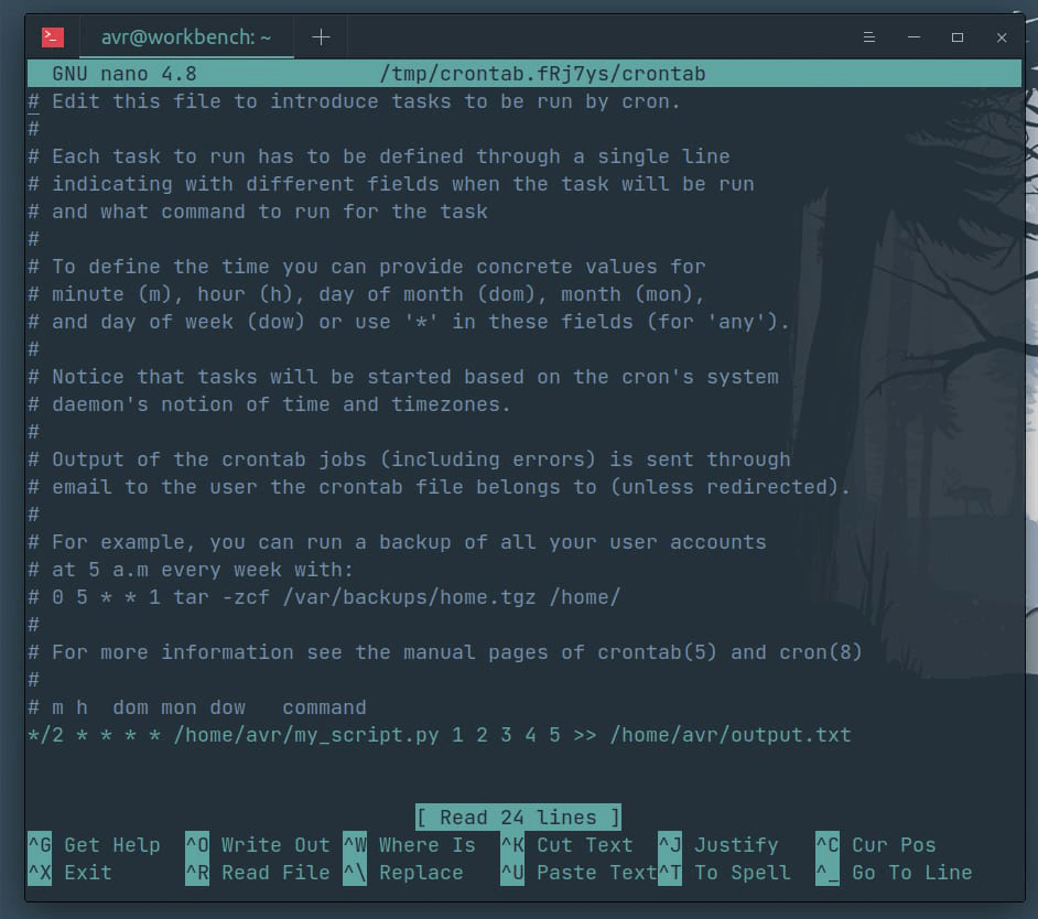 Crontab – 运行带有参数的 Python 脚本 | 码农参考