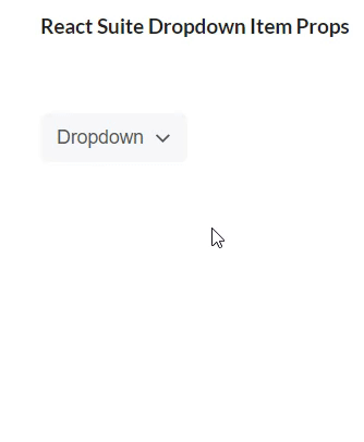 React Suite 道具 | 码农参考