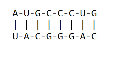 使用 Python 反向互补 DNA 链 | 码农参考
