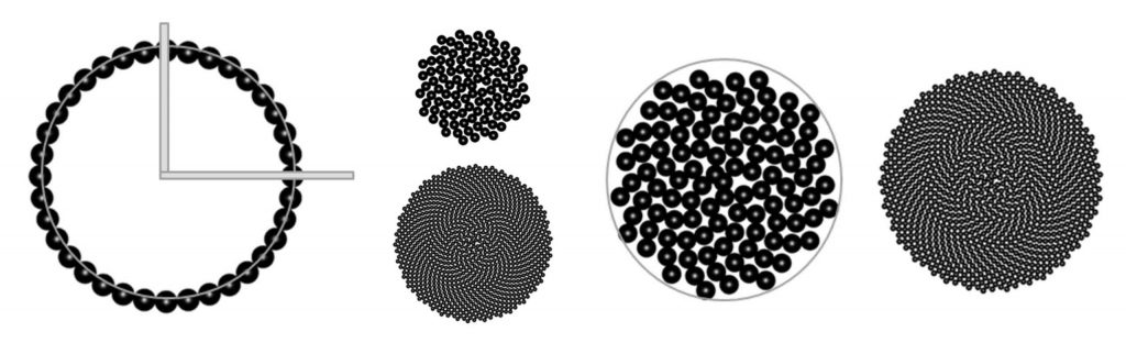 Python中的叶序模式|算法植物学的一个单元 | 码农参考