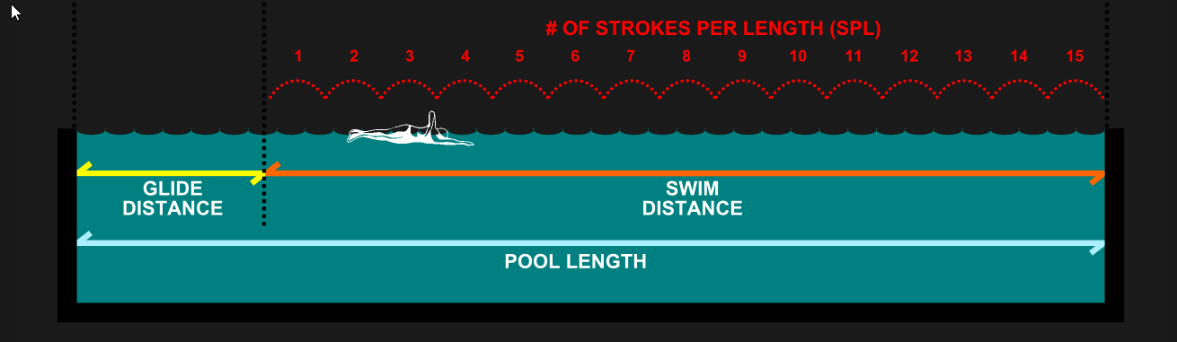 Metrics 101: Stroke Length | Mediterra Swim & Run