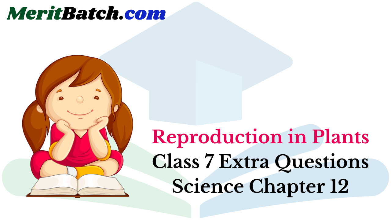 Reproduction in Plants Class 7 Extra Questions Science Chapter 12 ...