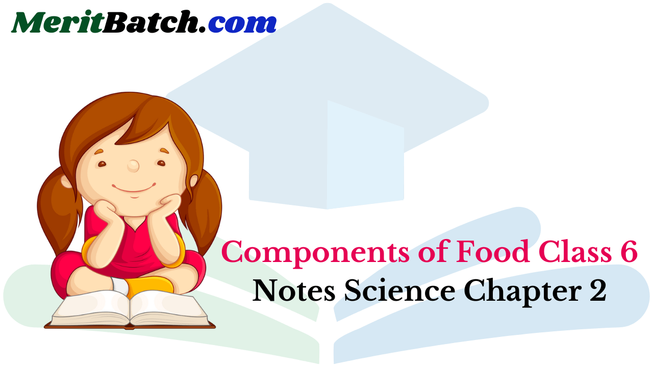 Components of Food Class 6 Notes Science Chapter 2 – Merit Batch