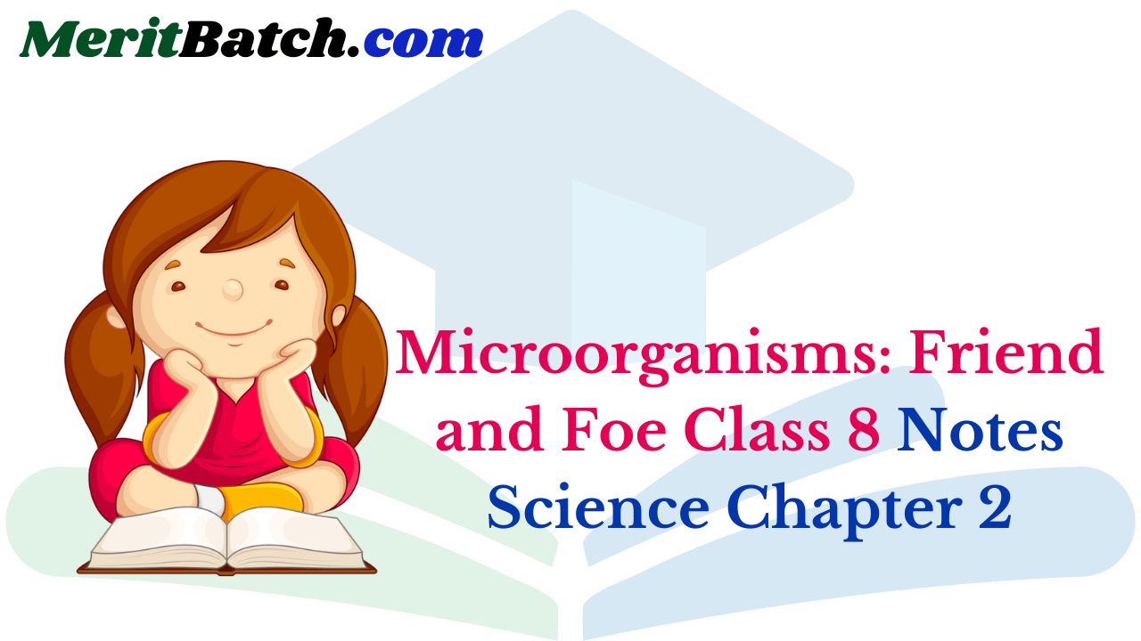 Microorganisms: Friend and Foe Class 8 Notes Science Chapter 2 – Merit ...