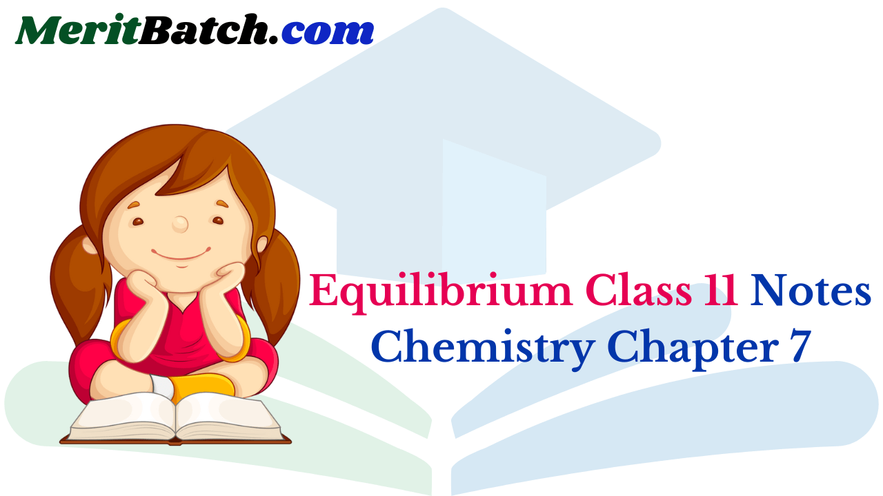 Equilibrium Class 11 Notes Chemistry Chapter 7 – Merit Batch
