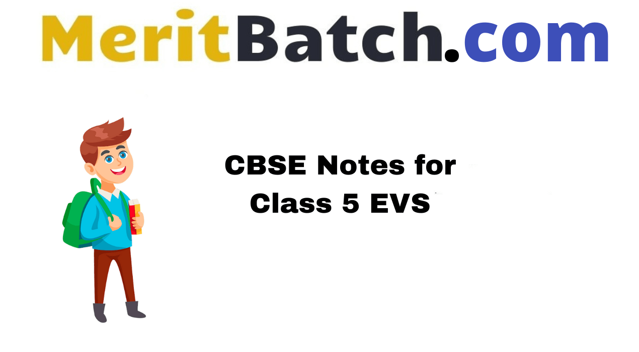 CBSE Notes for Class 5 EVS – Merit Batch