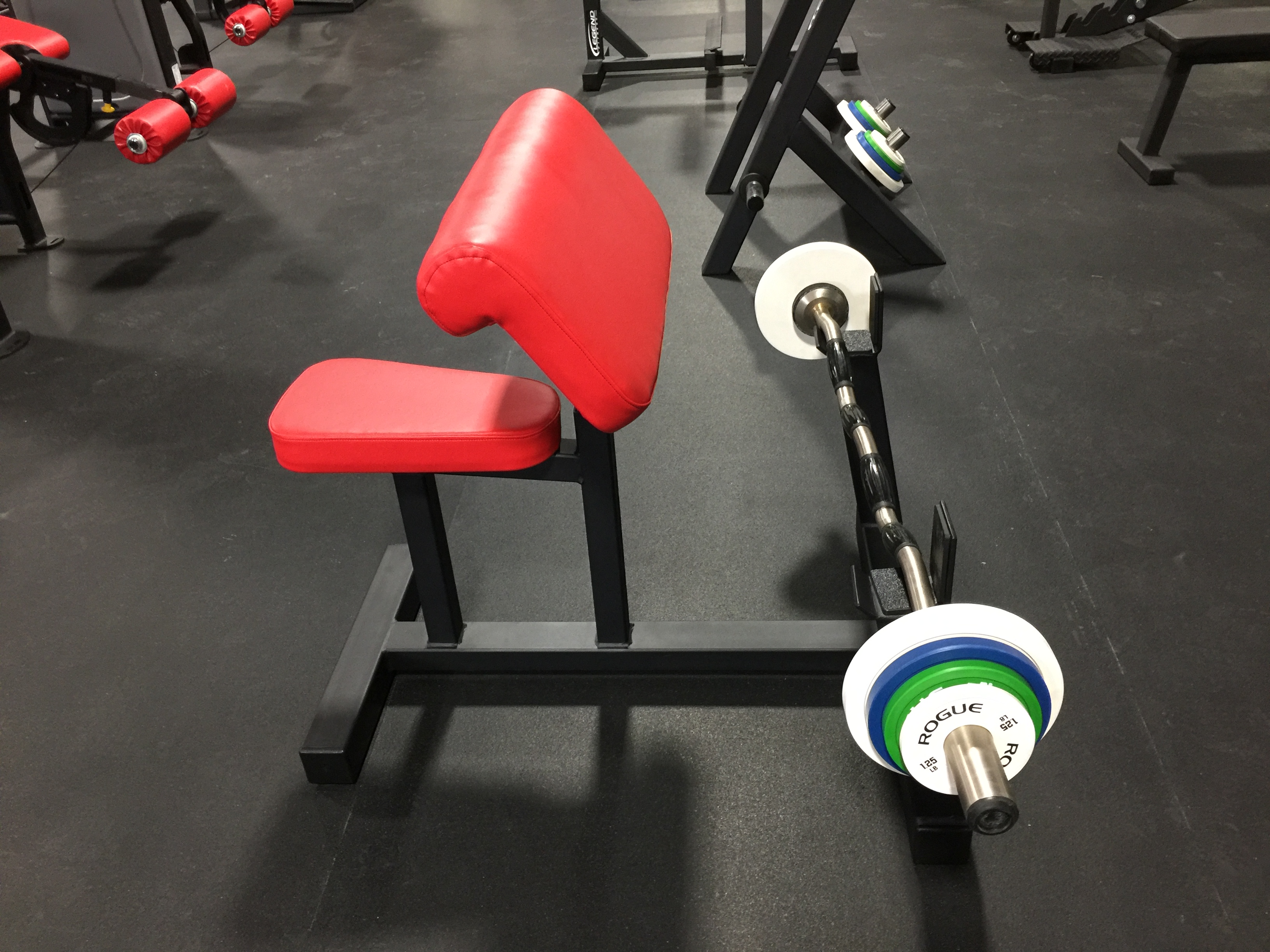 Preacher Curl Machine Alternative